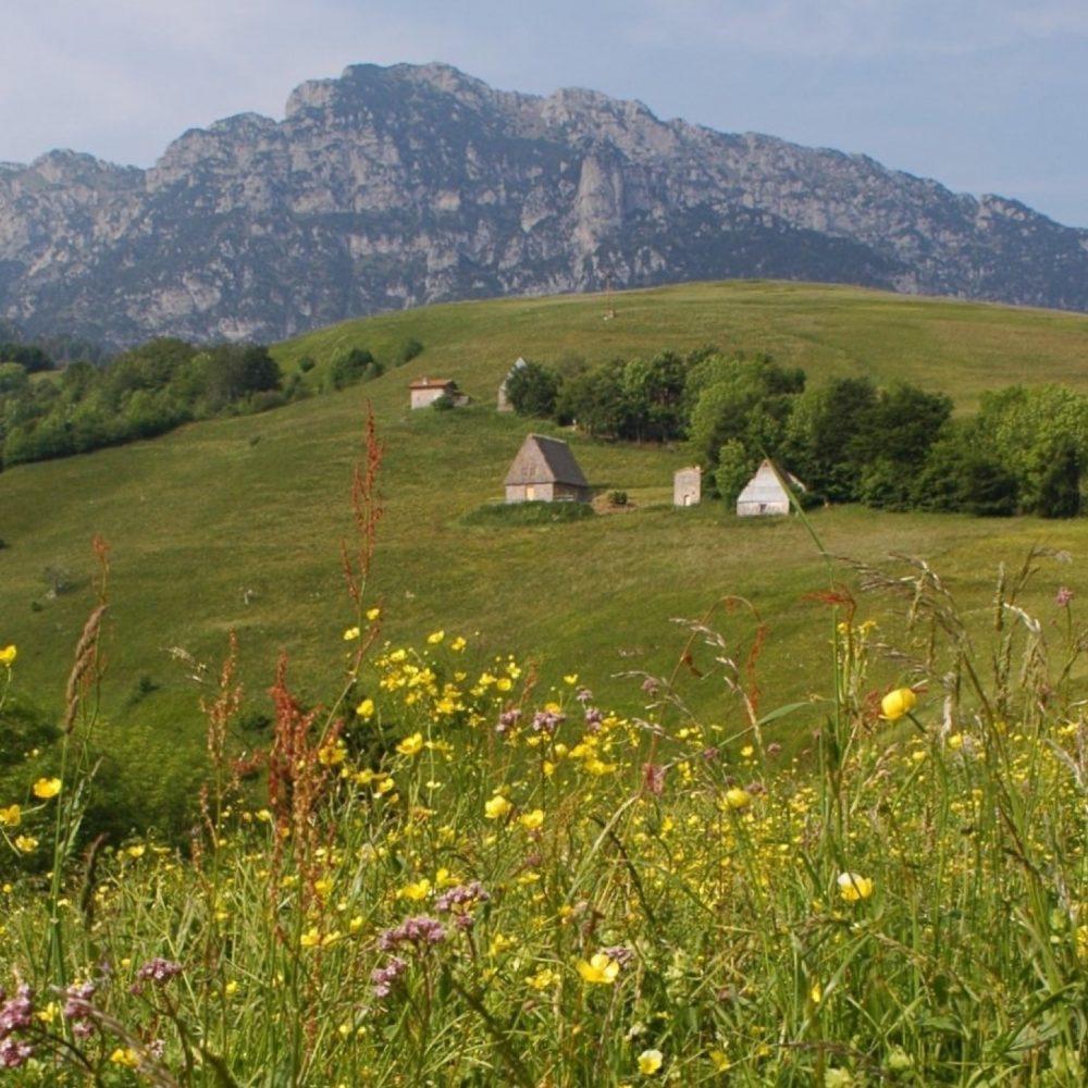 Valvestino Lake - Visit Val Vestino